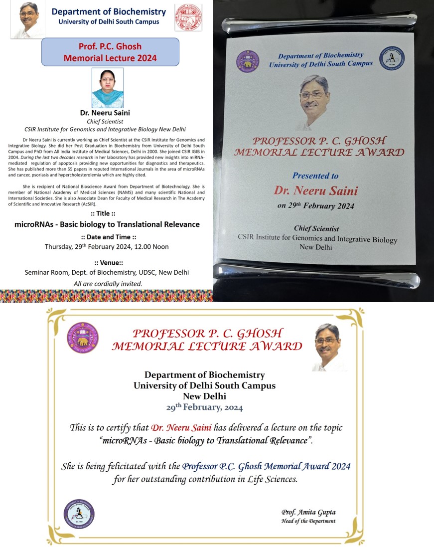 Memorial Lecture